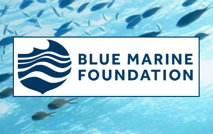 Blue Marine Foundation Logo Blue Marine Foundation Into The Blue